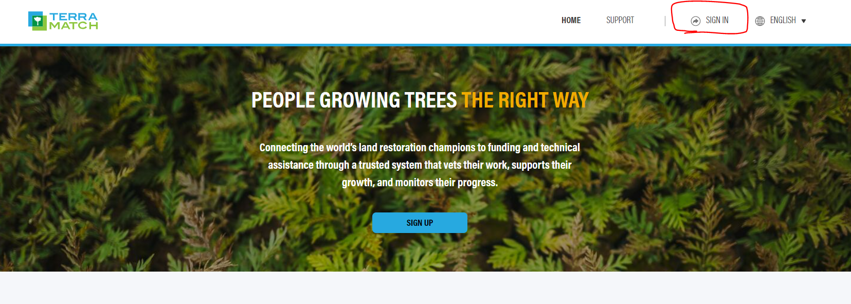 How to Check the Status of Your Application – TerraMatch Help Center